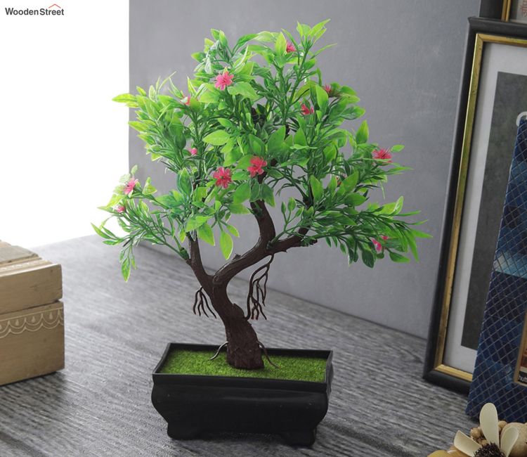 Buy Artificial Bonsai Plant & Artificial Bonsai Tree Online
