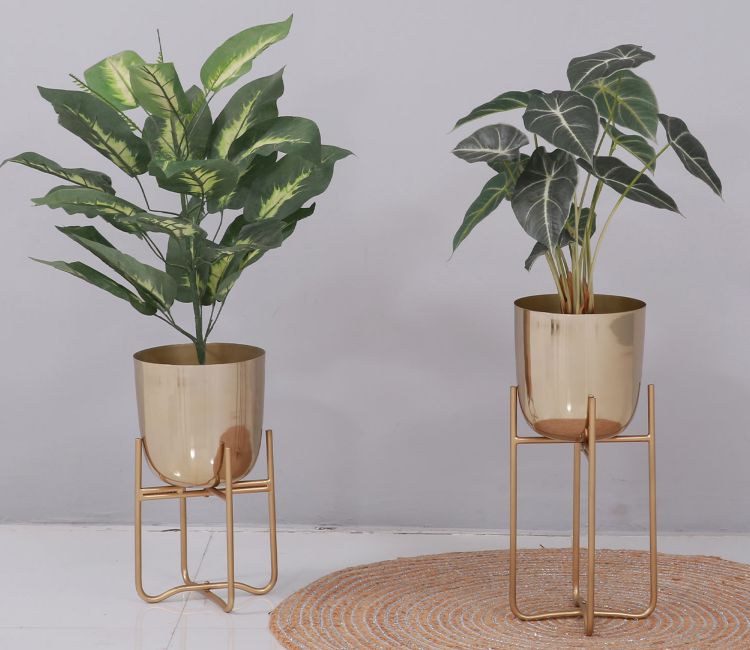 Gamla Stand: Buy Gamla Stand Designs Online in India @Upto 55% OFF