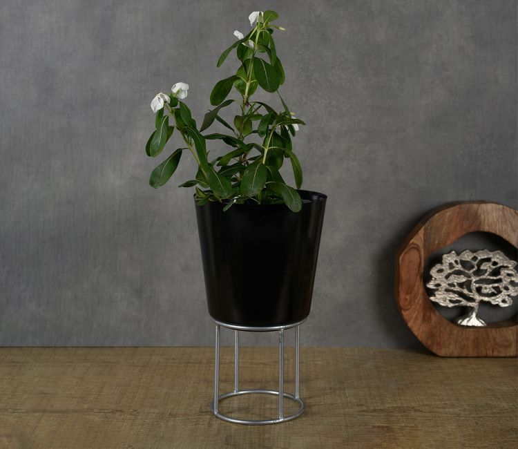 Gamla Stand: Buy Gamla Stand Designs Online in India @Upto 55% OFF