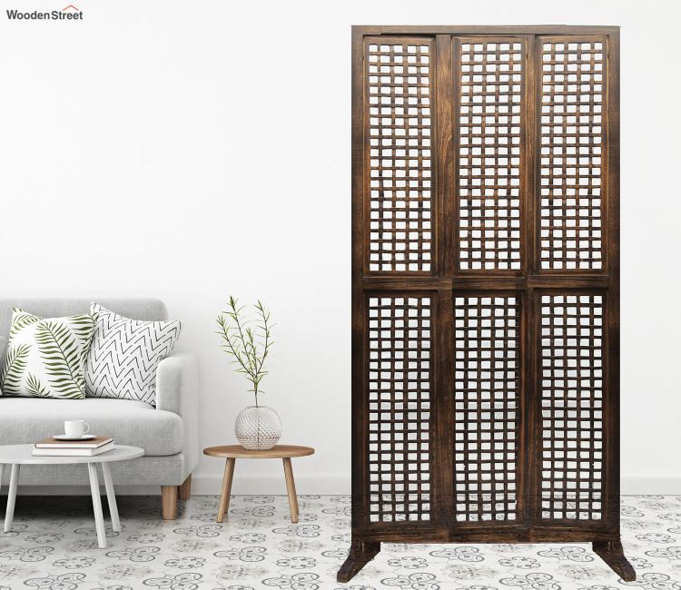 Stylish Hall and Kitchen Partitions – 81+ Designs Online